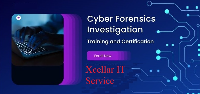 Xceller | Expert IT Services & Solutions for Every Business